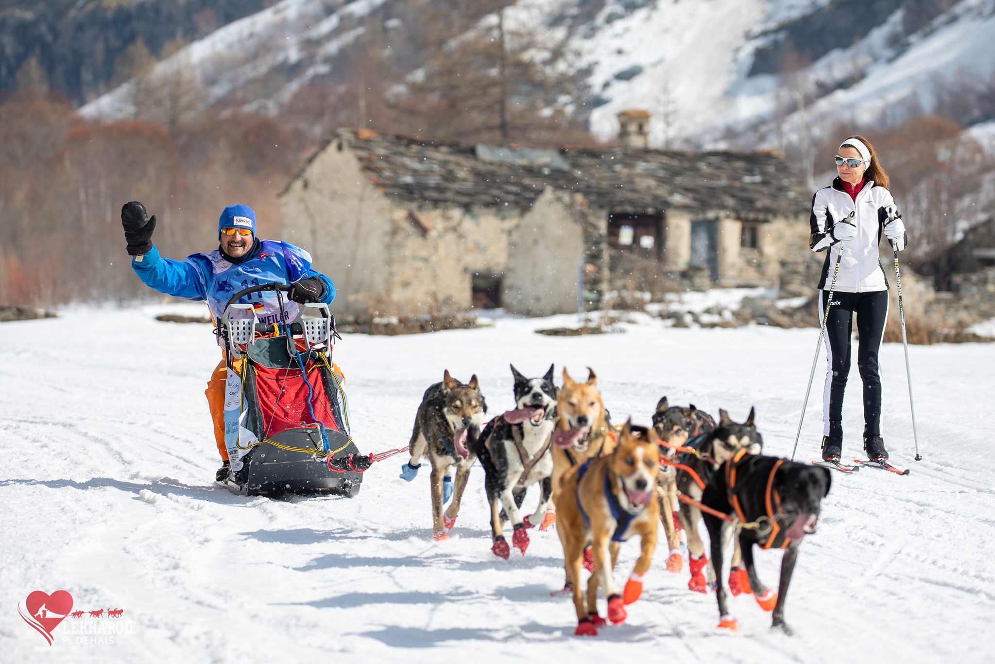 Lekkarod – Course internationale de chiens de traineau
